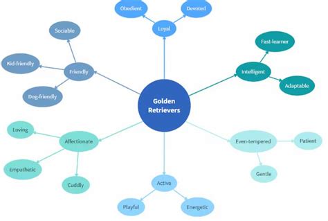 10 个思维导图示例：帮助学生完成任务
