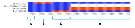 Graphical Representation Of Single Nucleotide Polymorphism Snp Download Scientific Diagram