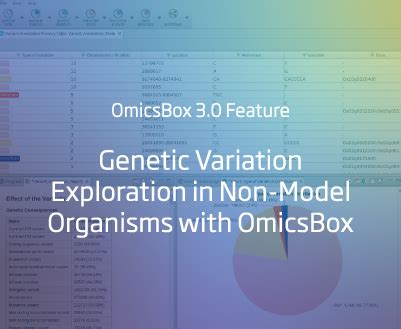 Home BioBam Bioinformatics Made Easy