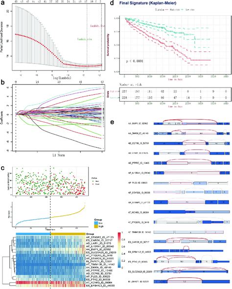 Least Absolute Shrinkage And Selection Operator Lasso Penalized Cox Download Scientific
