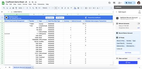 Netsuite Coefficient