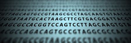 What Are Copy Number Variants Genomics Education Programme