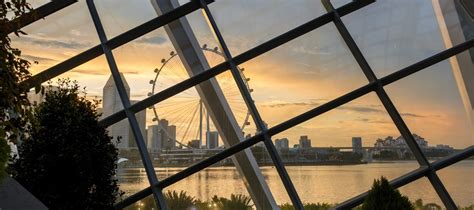 Huawei Pura Pro Review Exceptional Cameras But Usability Issues Persist