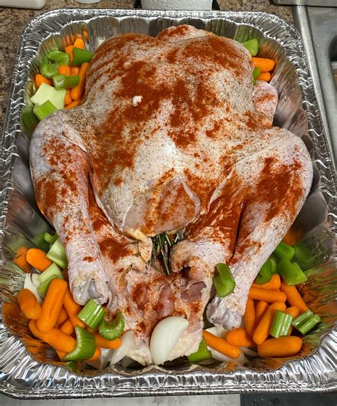 Omaima Nelson Was A Former Model Who Married Her Husband Bill Nelson Days After Meeting Him