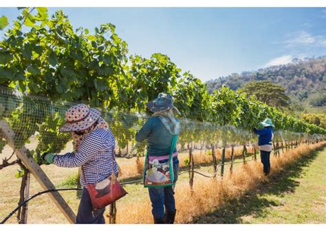 Македонски вина на саемот Prowein во Дизелдорф Кога зборуваме за најуспешните македонски