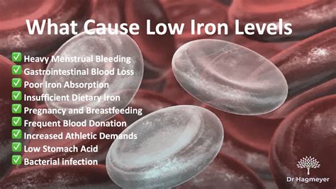 Iron Deficiency Vs Adrenal Fatigue Symptoms And Testing Dr Hagmeyer
