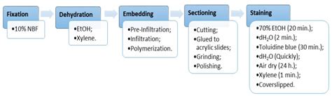 Fixation Histology Protocol At Lucas Cade Blog