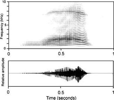 Sound Spectogram And Waveform Of Distress Calls Of Hydrolaetare Caparu