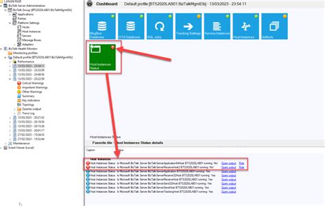 Biztalk Health Monitor Dashboards Customization Monitoring Biztalk