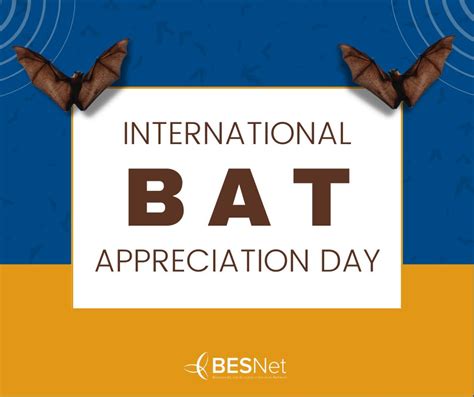 Biodiversity And Ecosystem Services Network Bes Net On Linkedin Pollinators