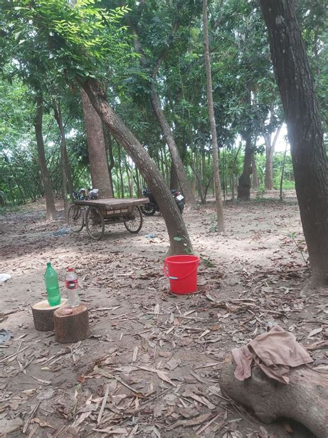 Mst Taslima Khatun On Linkedin Hello World 🌍