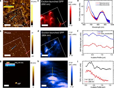 Universality Of Nano Optical Fringes A Topography And B Phase Map Of Download Scientific