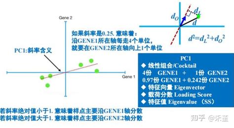 统计学分析方法 4 数据降维 主成分分析 知乎