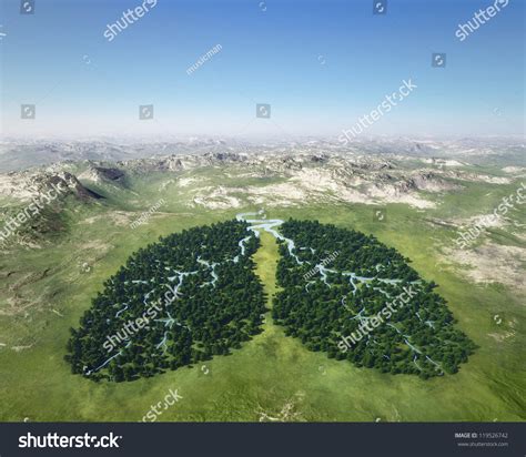 Tree Looks Like Lungs Stock Illustration 119526742 Shutterstock