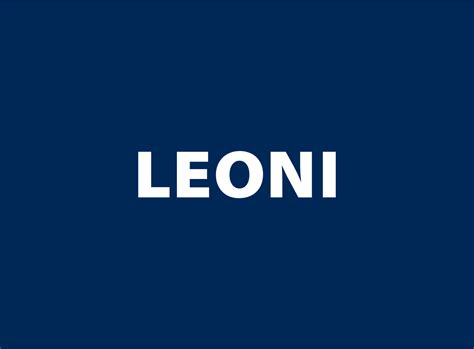 financial documentation leoni ukraine