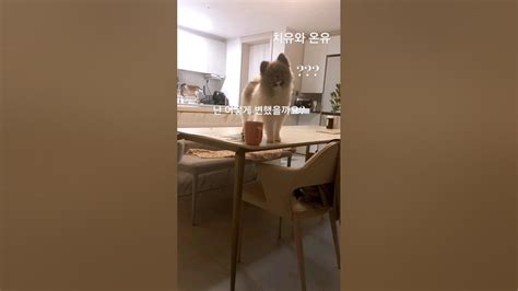 보여줄께 완전히 달라진 나 또르륵 Youtube