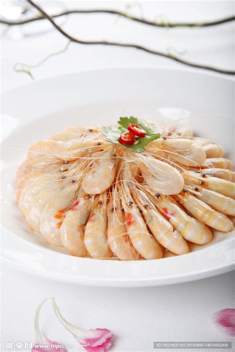 太湖白米虾摄影图 传统美食 餐饮美食 摄影图库 昵图网