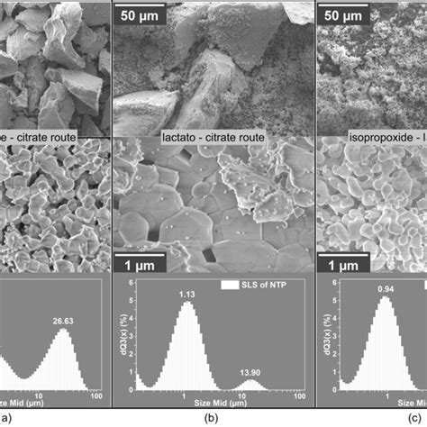 Sem Images And Particle Size Distribution Histograms Of Different Download Scientific Diagram