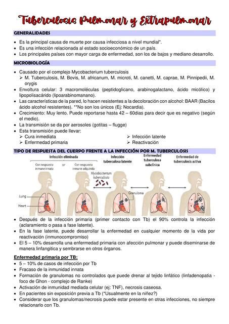 Tuberculosis Pulmonar Y Extrapulmonar Alisson1108 Udocz