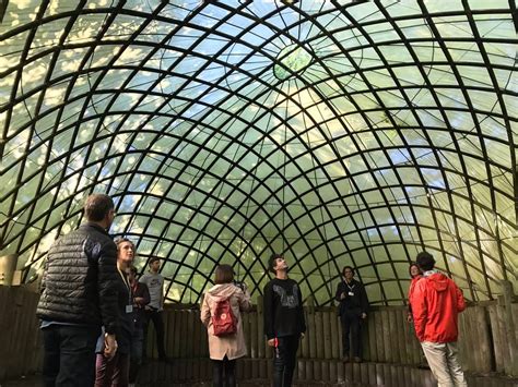 Timber Gridshells
