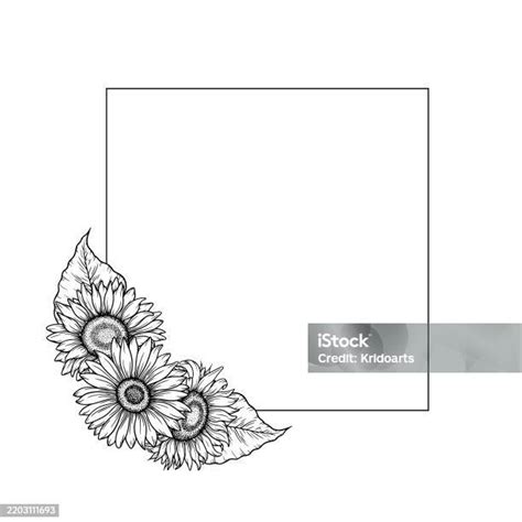 벡터 해바라기 광장 프레임 그림 라인 아트 꽃 구성 그래픽 흑백 그림 손으로 그린 꽃 개요 스케치 새겨진 그림 청첩장 로고 템플릿 가을에 대한 스톡 벡터 아트 및 기타