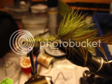 Gotta Stay Fly The Almighty Sex Dungeon