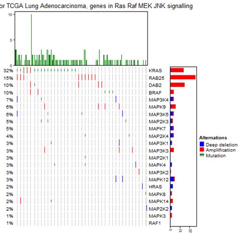 超详细的r语言热图之complexheatmap系列（5） csdn博客