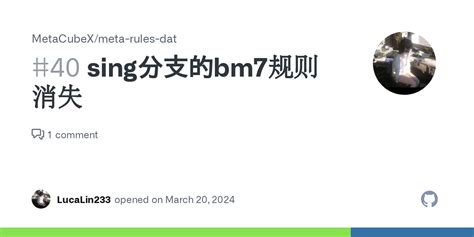 Sing分支的bm7规则消失 · Issue 40 · Metacubexmeta Rules Dat · Github