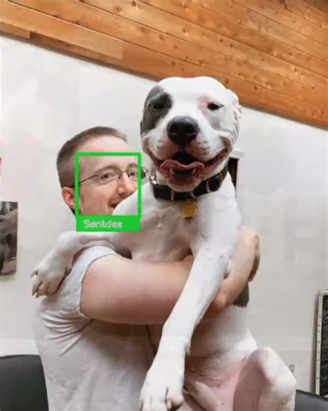 Facial Recognition With Python And The Face Recognition Library