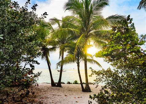 Big Trans Cock The Ultimate Treasure You Will Ever Find