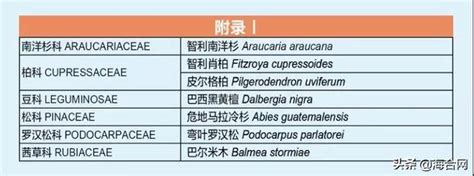 濒危物种贸易知多少木材篇 每日头条
