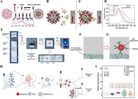 Ad A Colorimetric Biosensor With Aunp For Detecting Sars‐cov‐2