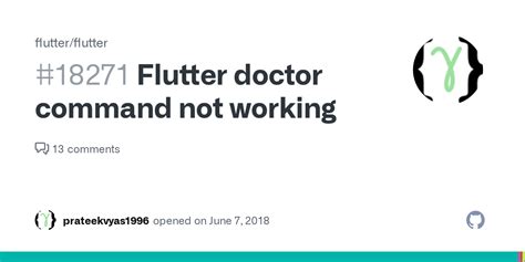 Flutter Doctor Command Not Working · Issue 18271 · Flutterflutter