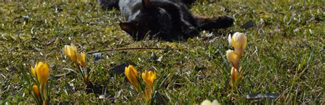 My 10 Favorite Wordpress Plugins Benjamin Simier