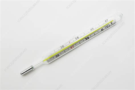 Mercury Thermometer Stock Image C007 5641 Science Photo Library