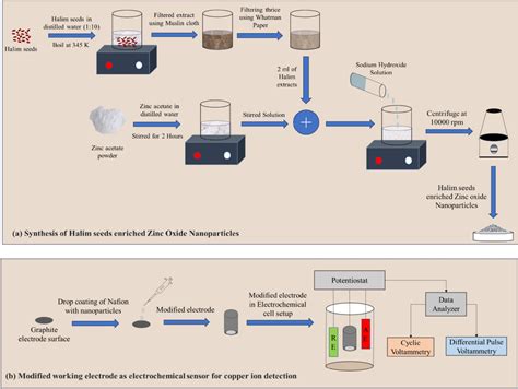 A Synthesis Of Halim Enriched Zno By Co Precipitation Method B Download Scientific Diagram