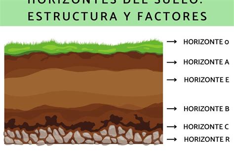 Horizontes Del Suelo Estructura Y Factores Clave Eco360