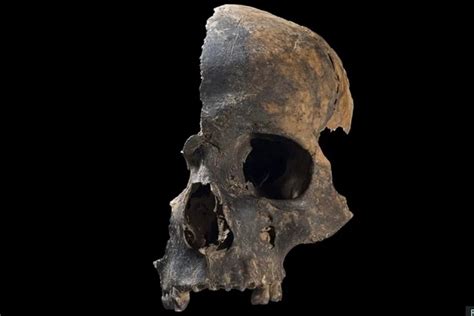 Случай на отмъстителен канибализъм от Бронзовата епоха Площад Славейков