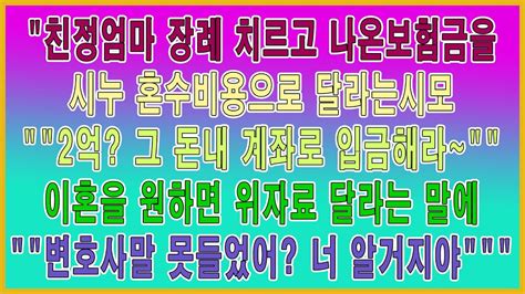 사이다사연친정엄마 장례치르고 나온 보험금을 시누 혼수비용으로 달라는 시모 사이다 이혼합니다라디오드라마사이다신청사연실화사연 Youtube