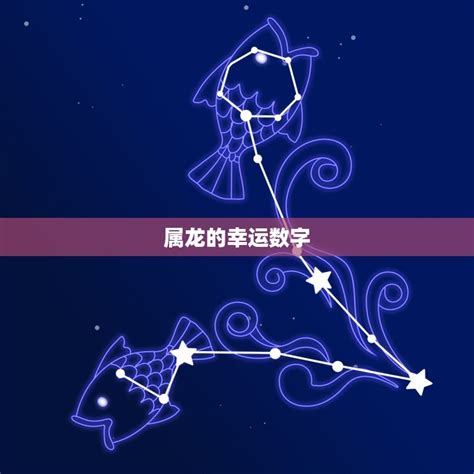 属龙幸运数字2023 介绍龙年数字是什么