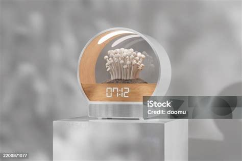 시메지 버섯을 재배하기 위한 유리 전구가 있는 테이블 시계와 화이트 큐브 받침대 또는 스탠드 포디움 위에 스피커 3d 렌더링 0명에 대한 스톡 사진 및 기타 이미지 Istock