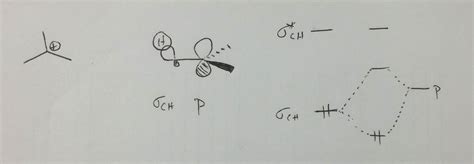 Electronegativity Inductive Effect And Hyperconjugation One Elephant Different Parts