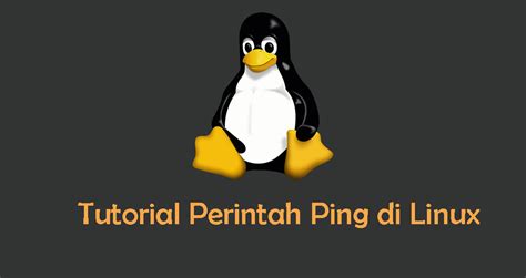 Tutorial Penggunaan Perintah Ping Di Linux Terminal Linuxid
