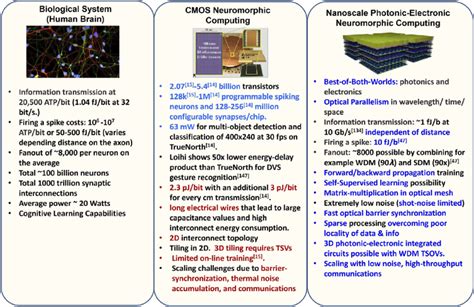 Comparisons Of A Biological Cognitive System Humans Cortex