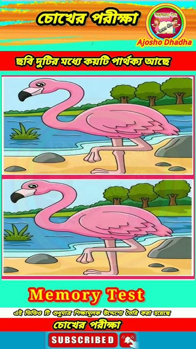 বুদ্ধির ধাঁধা🤔ছবি দুটির মধ্যে কয়টি পার্থক্য আছে Puzzle Riddles Chobir Dhadha2024 Ajoshodhadha