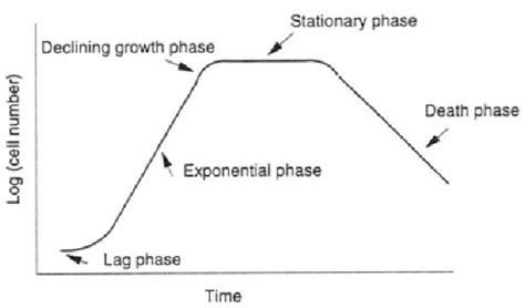 Figure 1 From Intelligent Dynamic Simulation Of Fed Batch Fermentation