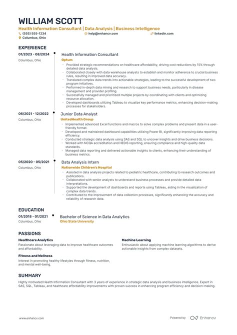 Successful Excel Expert Resume Examples And Writing Tips For