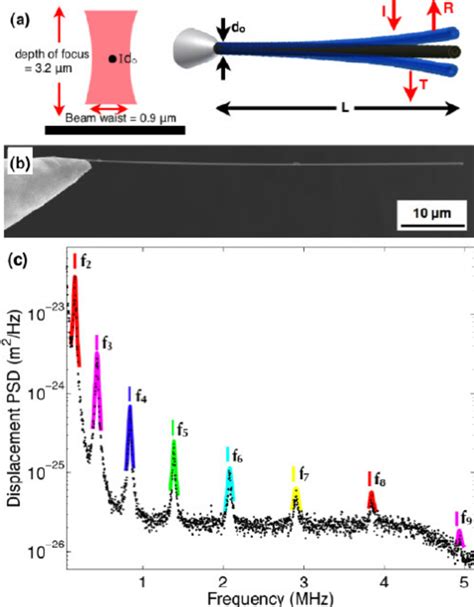 In A Schematics Of Laser Light Focused On A Nanowire And Of A Download Scientific Diagram
