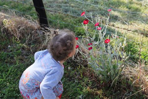 Pipi Partout Le Blog De Fifi Et Doudou