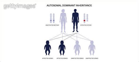 Dominant Inheritance Pattern 이미지 2154796188 게티이미지뱅크